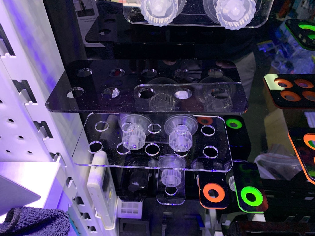 frag rack-Frag Rack 10 Hole Clear-Hurstville Aquarium