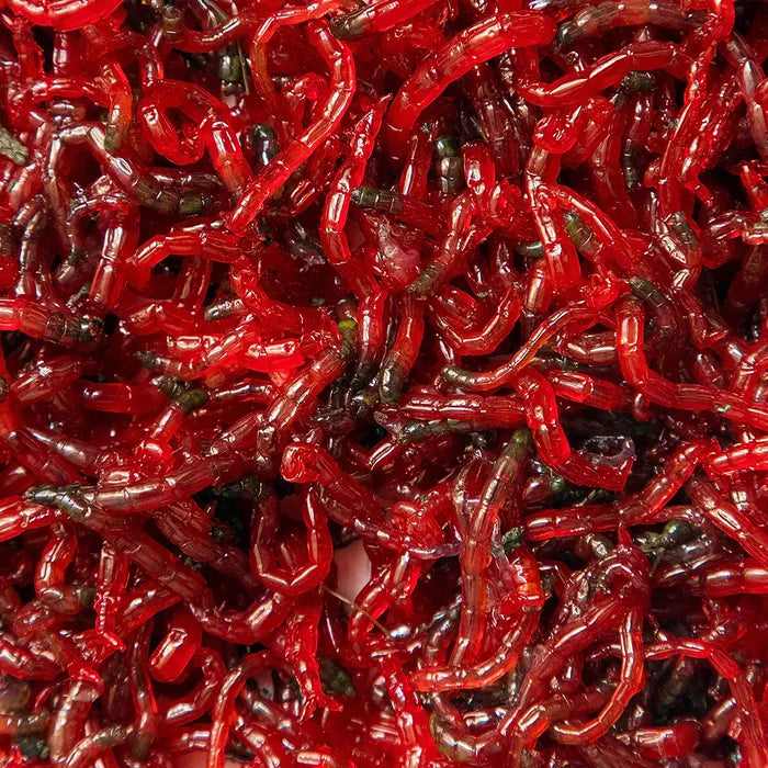 Aqua Natural Freeze Dried Bloodworms 26g – Hurstville Aquarium
