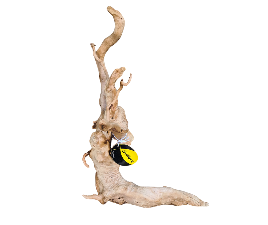 Dymax Tweety Wood Medium – Hurstville Aquarium