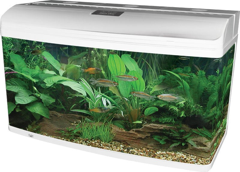 aqua one aquastyle 980-Aqua One Aquastyle 980 Tank Gloss White ...