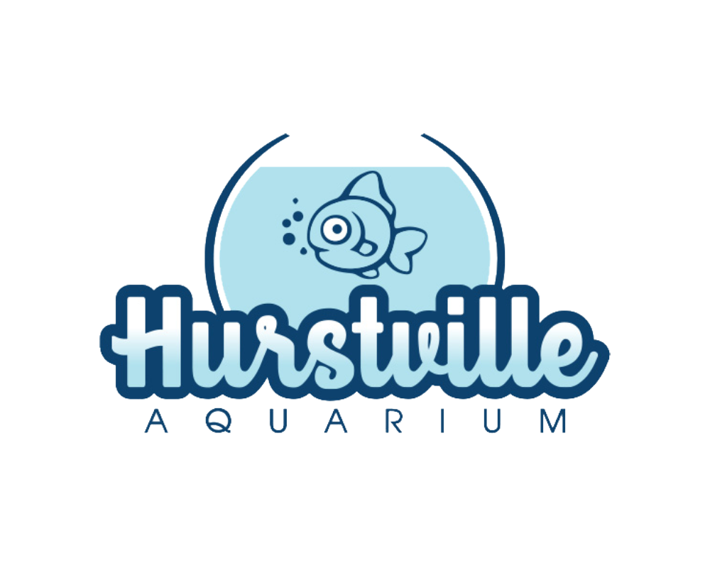 Sanking Plumbing U Bend Din Pipe With Ball Valve & Soft Tube Connector ...